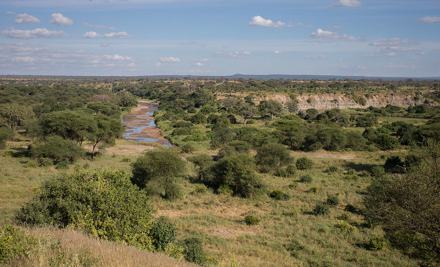 River Tarangire Tanzania - African wilderness tours