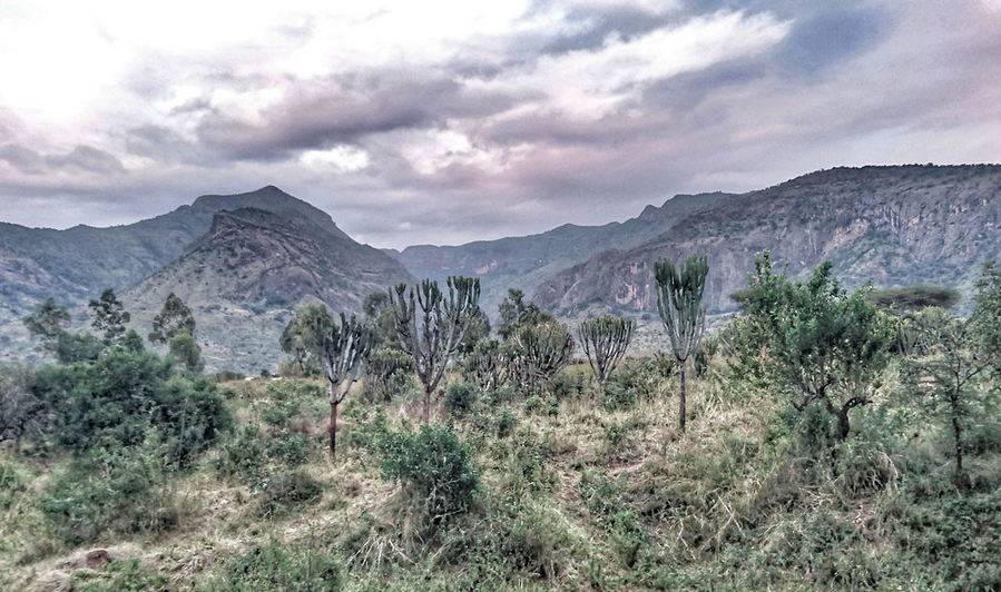 Mountain Moroto in Uganda - African wilderness tours