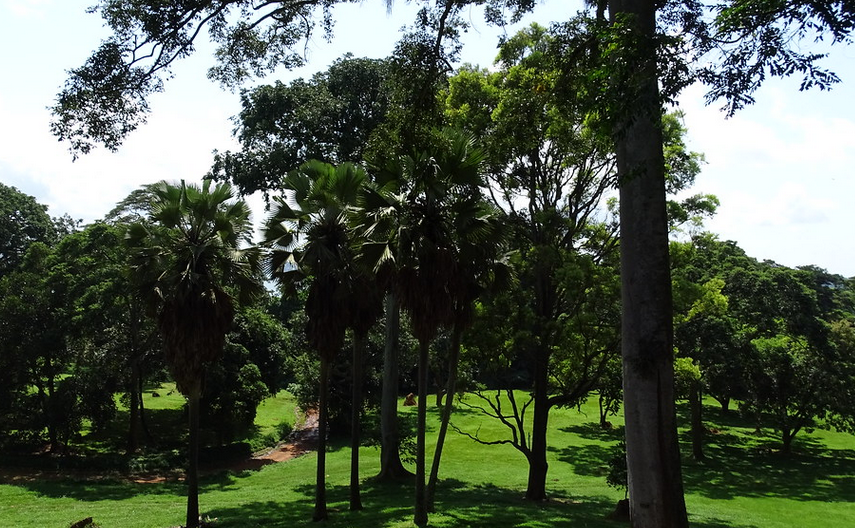 Entebbe City Adventure - African wilderness tours