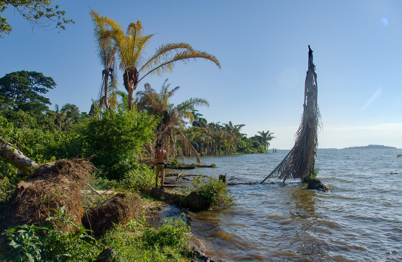 Ssese Islands Excursion - African wilderness tours