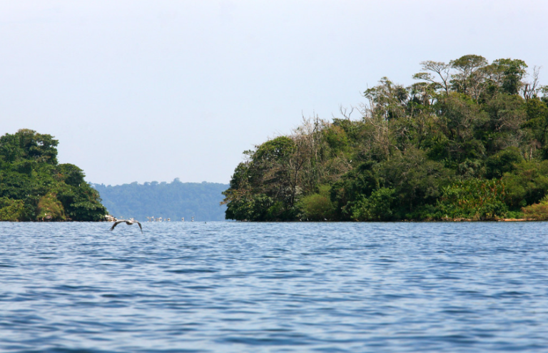 Ssese Islands Excursion - African wilderness tours