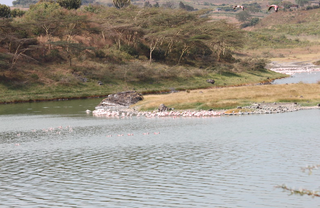 Arusha National Park - African wilderness tours