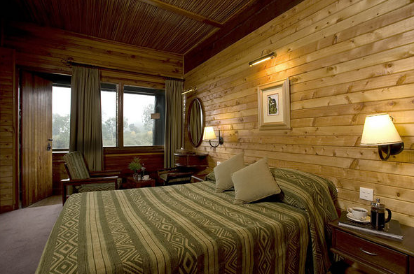 Mount Kenya National Park - African wilderness tours